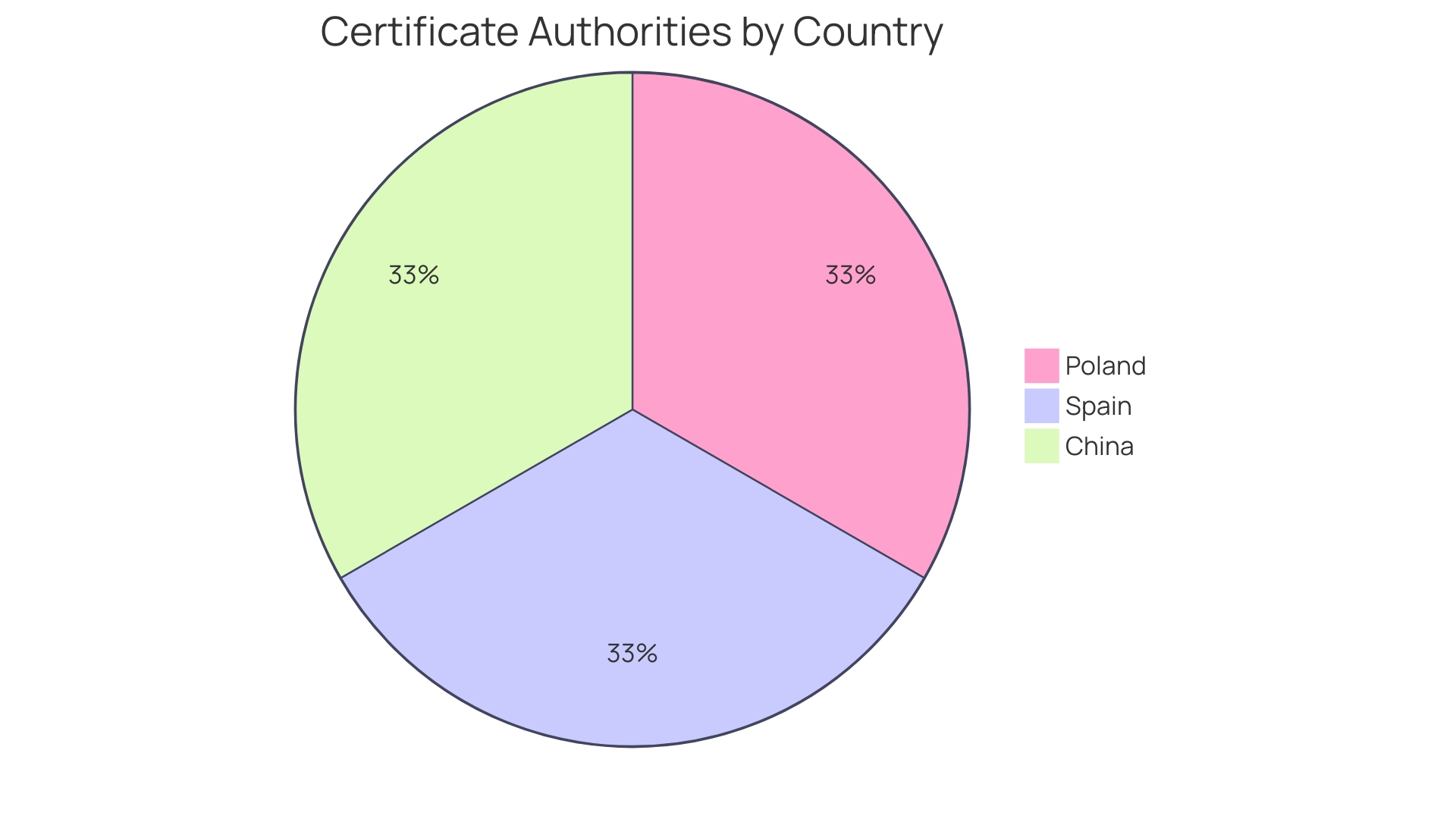 Distribution of Website Audit Focus Areas