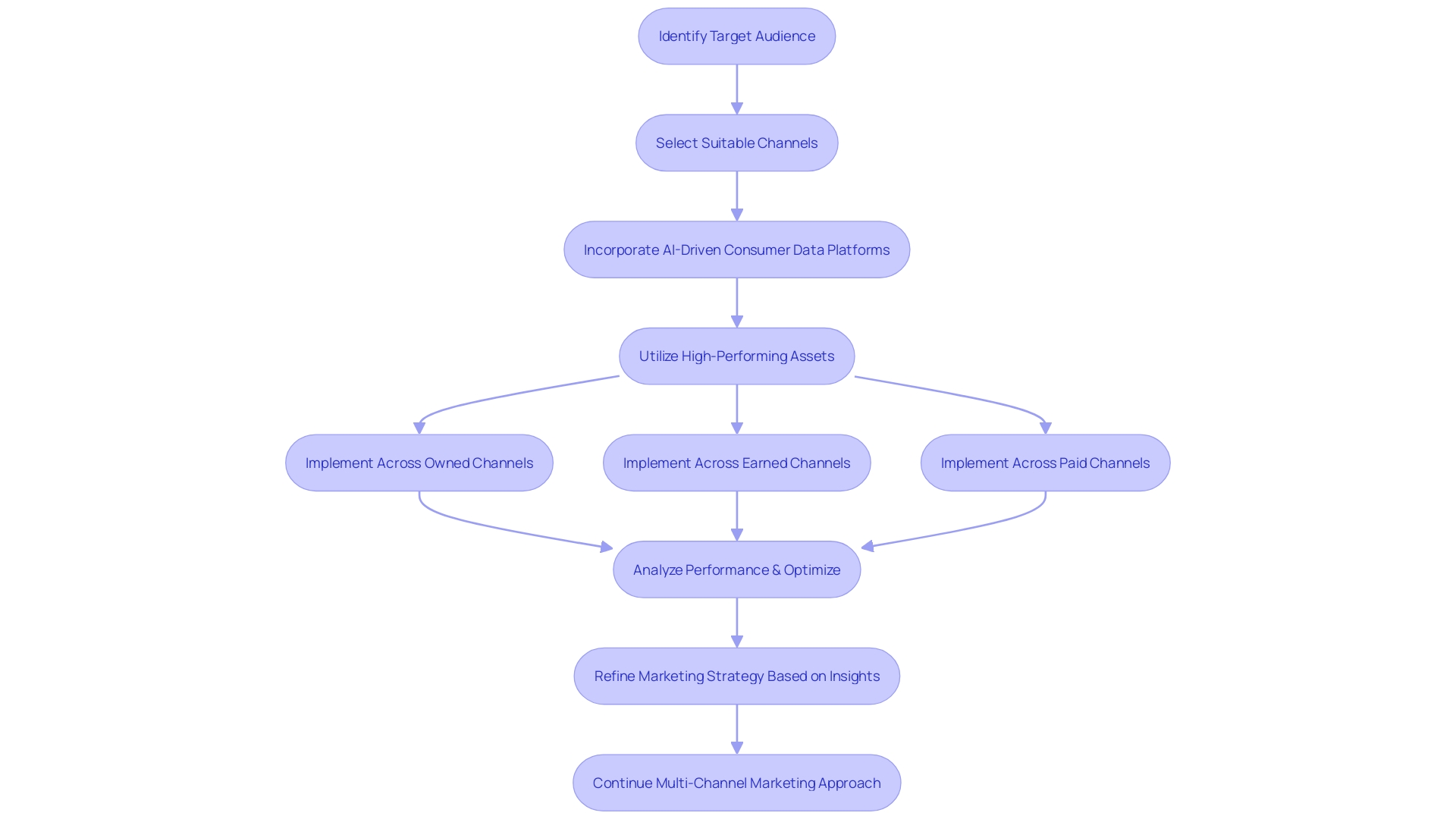 Flowchart illustrating the multi-channel marketing approach