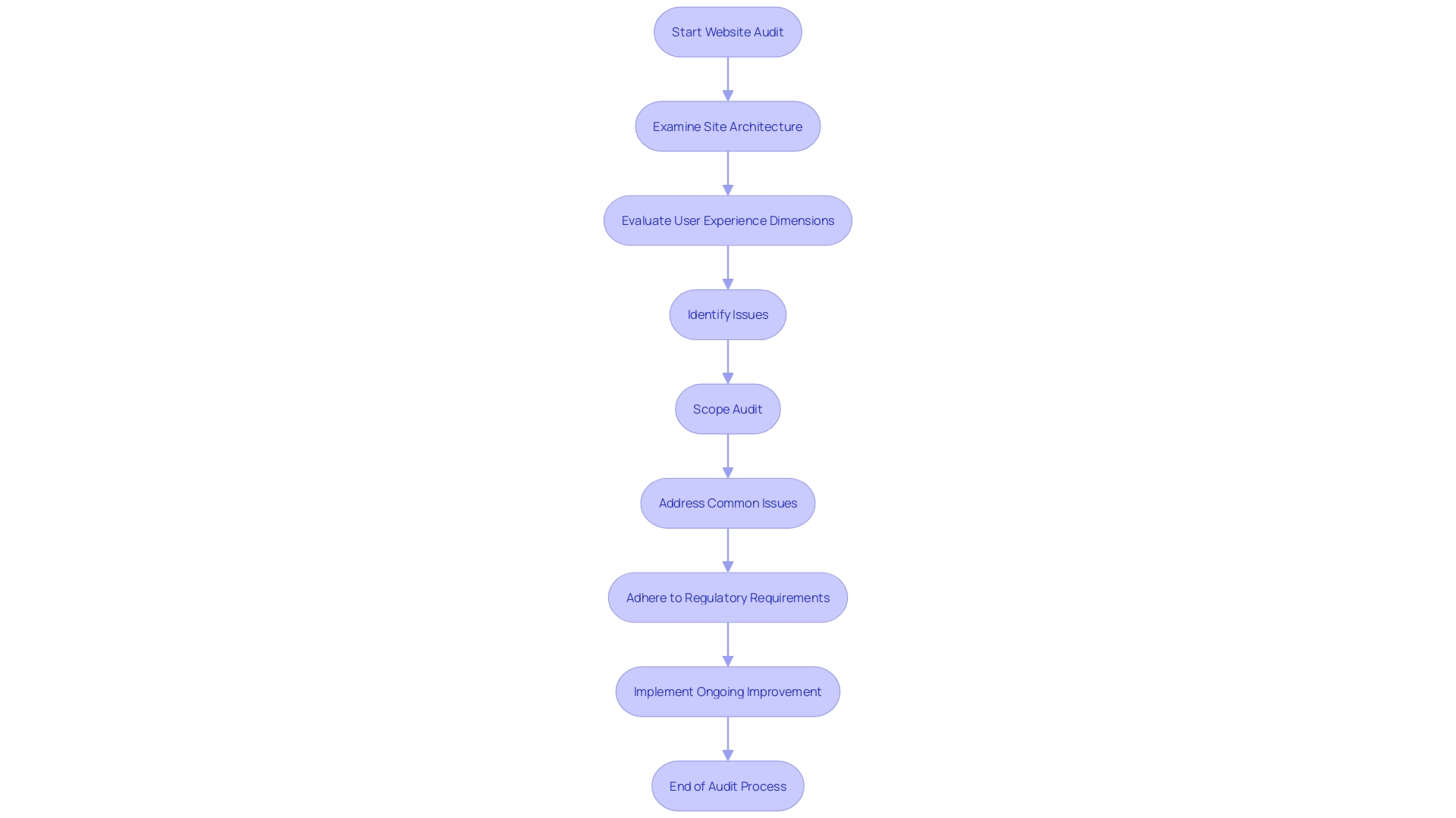 Flowchart: Website Audit Process