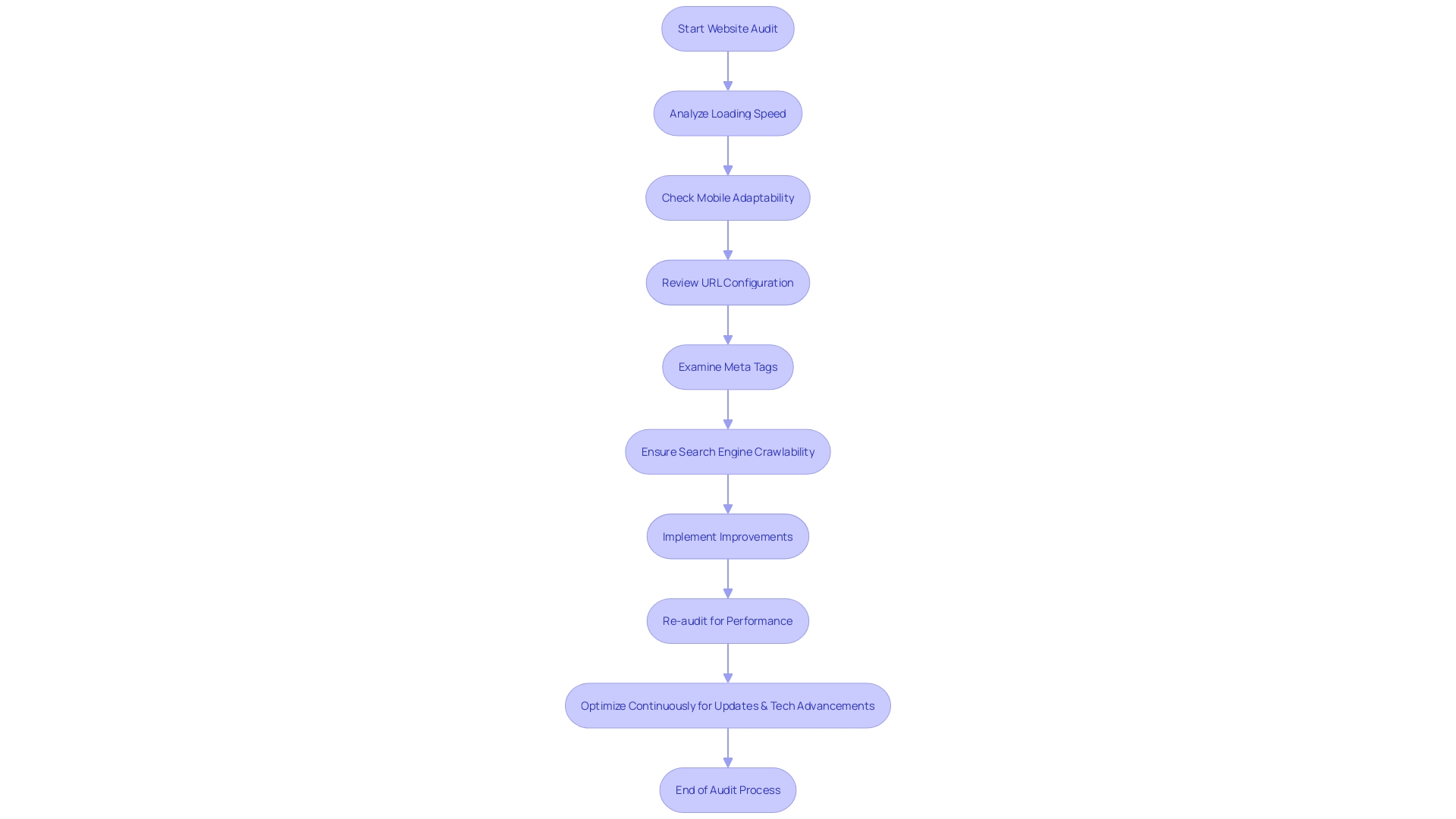 Website Audit Process